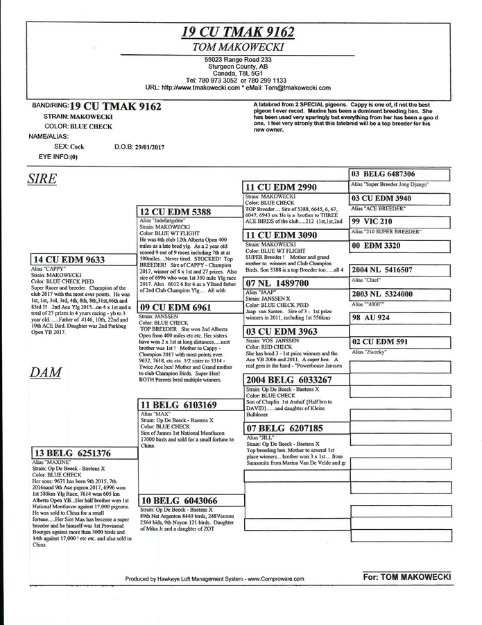 Buyapigeon.com Auction Site