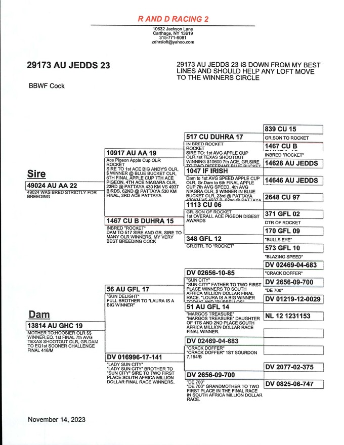 Buyapigeon.com Auction Site