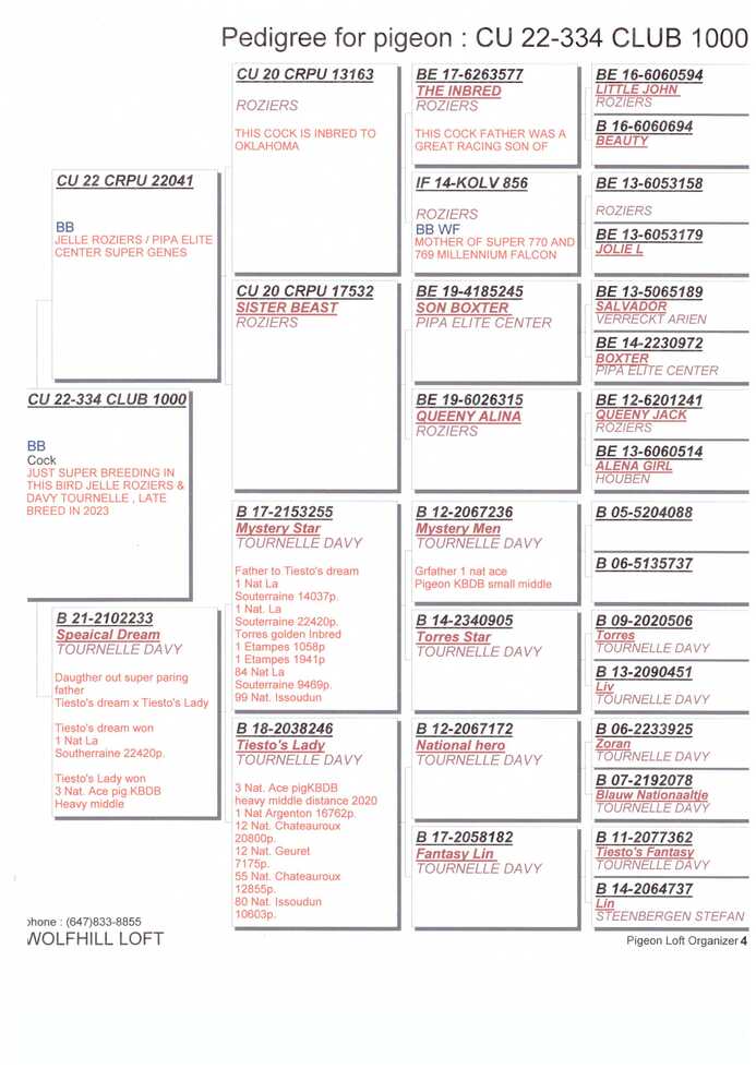 Buyapigeon.com Auction Site