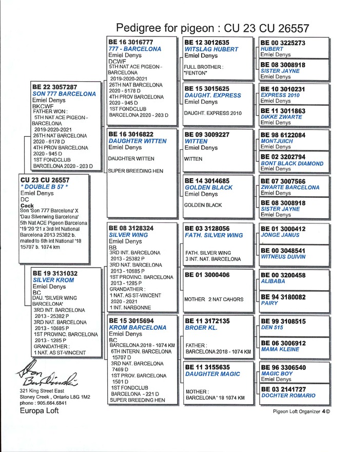 Buyapigeon.com Auction Site