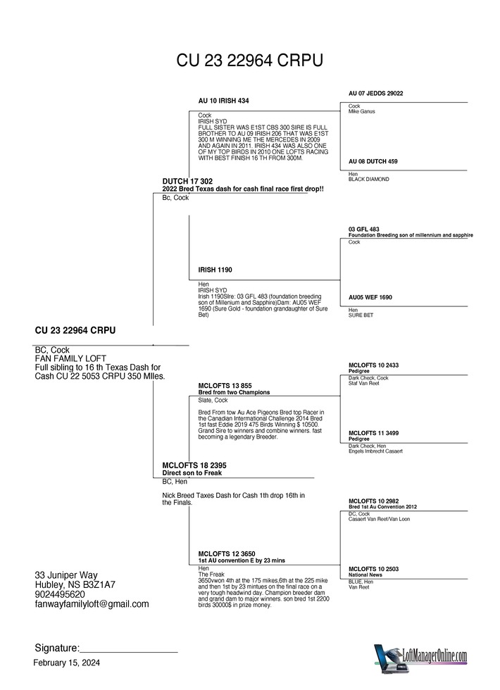 Buyapigeon.com Auction Site