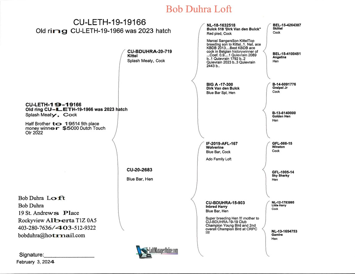 Buyapigeon.com Auction Site