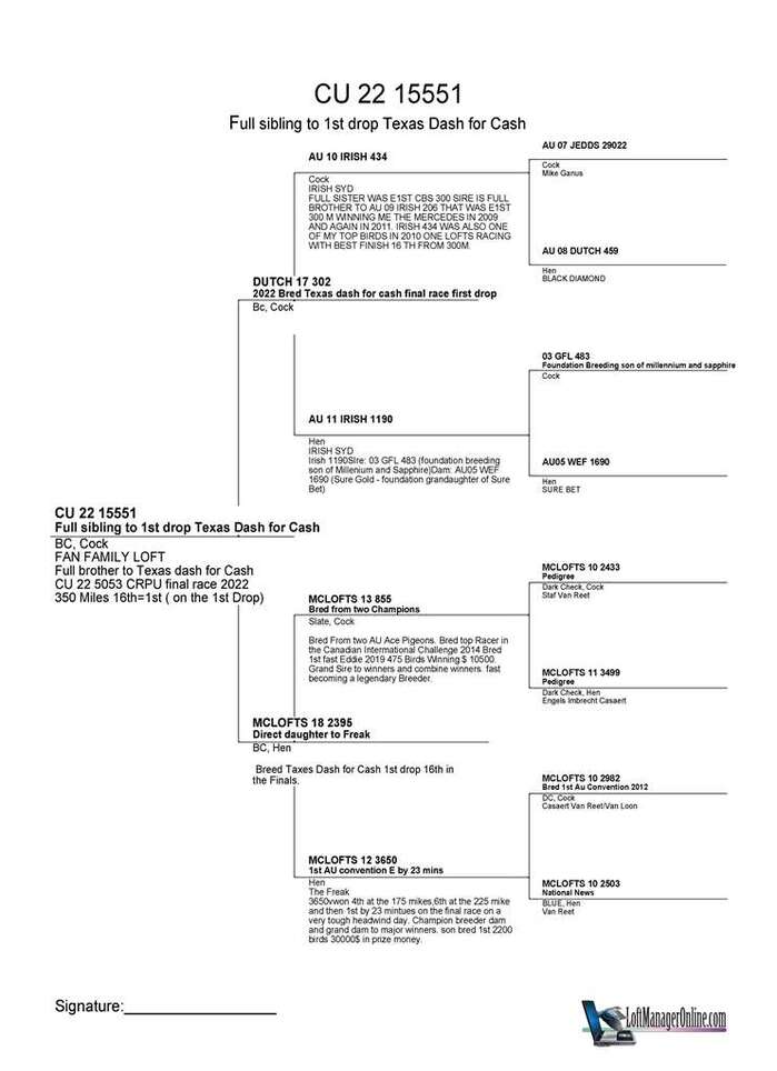 Buyapigeon.com Auction Site