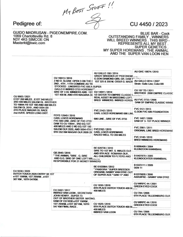 Buyapigeon.com Auction Site