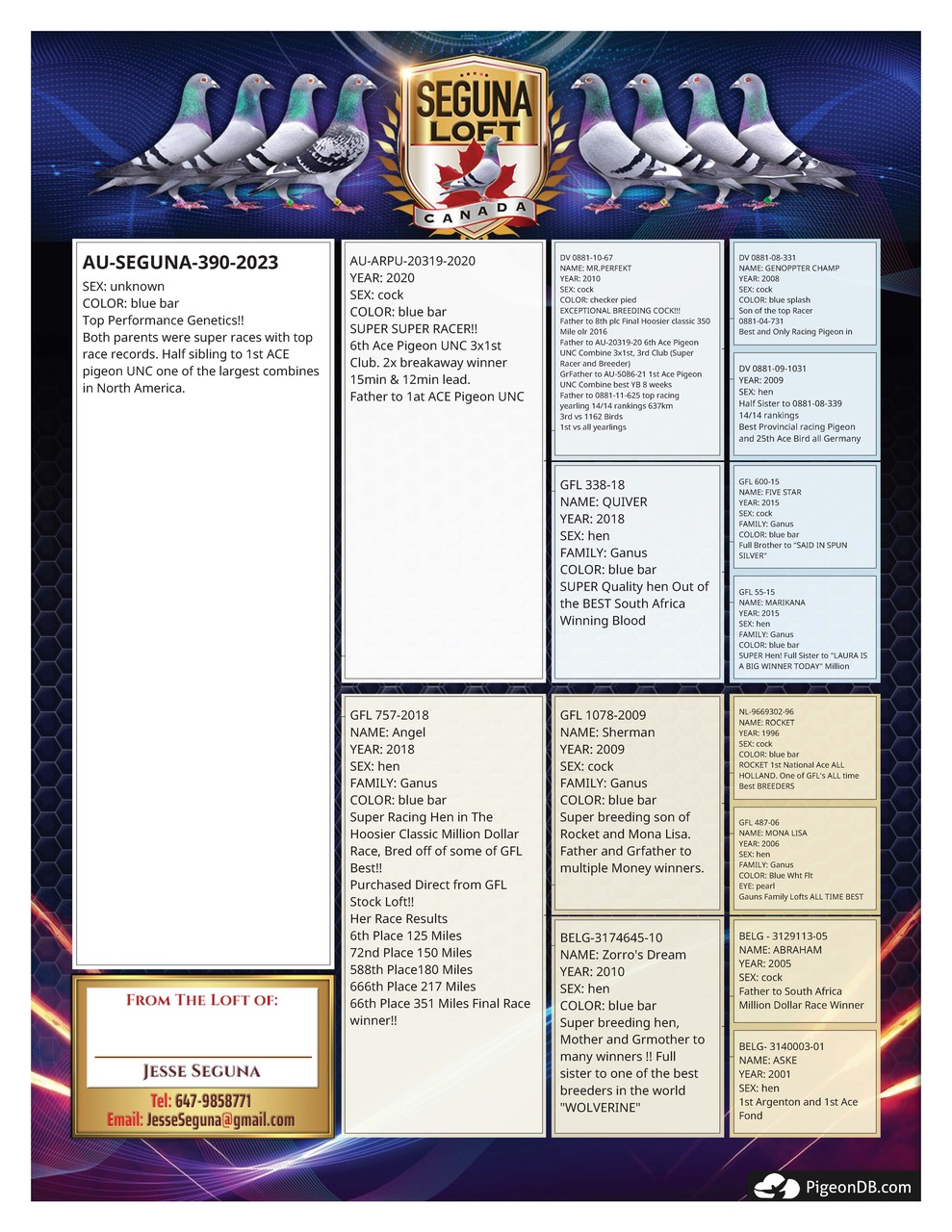 Buyapigeon.com Auction Site