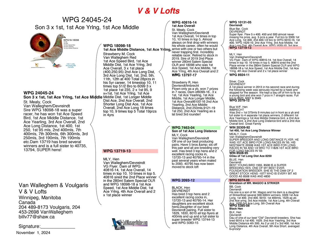 Buyapigeon.com Auction Site