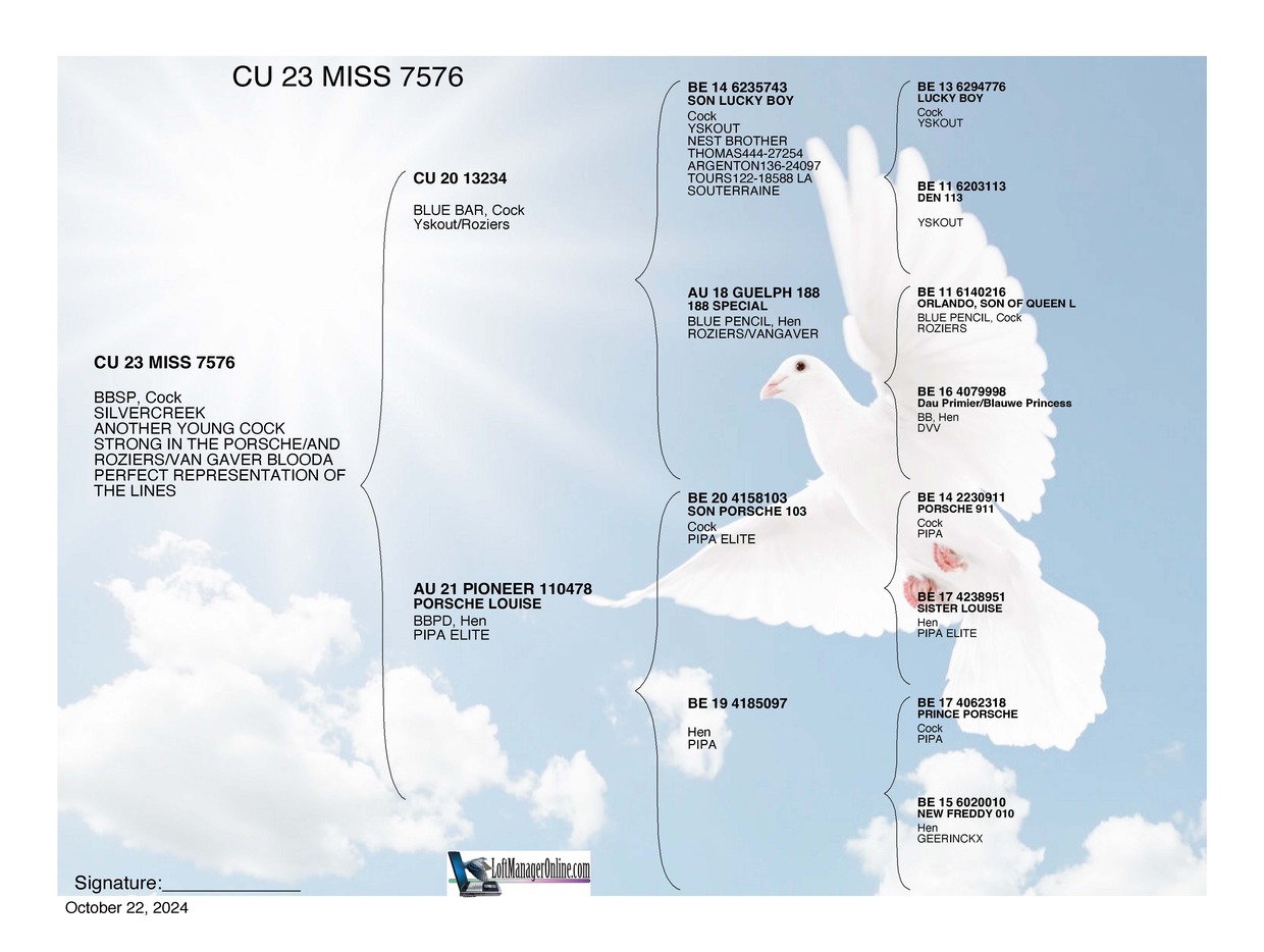 Buyapigeon.com Auction Site