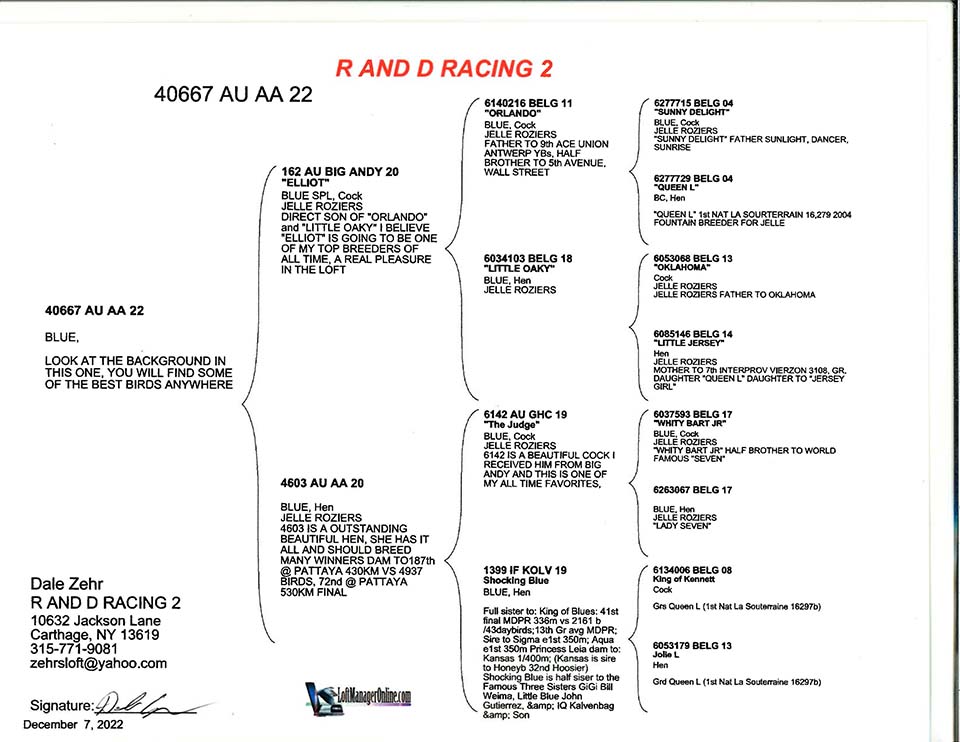 Buyapigeon.com Auction Site